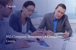 BVI Company Structure | A Complete Guide to Corpor... | Arnifi